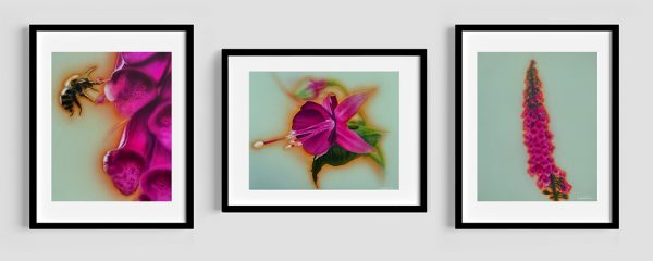 All three Summer Haze Prints – Prints Greg Whiteman Art